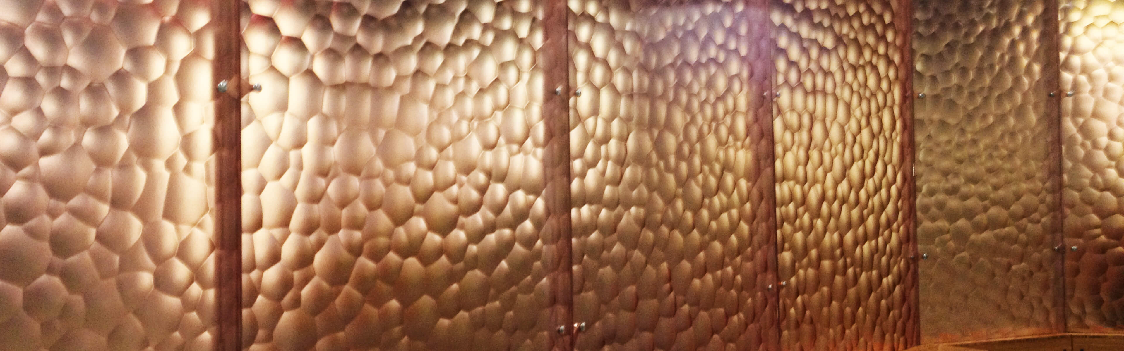 Museum of Science: Hall of Human Life - Payette