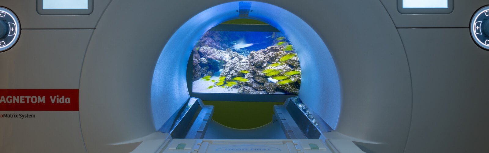 Taking the Scare Out of a Scan - Payette