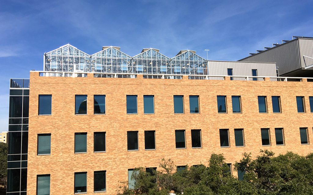 Photo Shoot: UT Austin Greenhouse - Payette