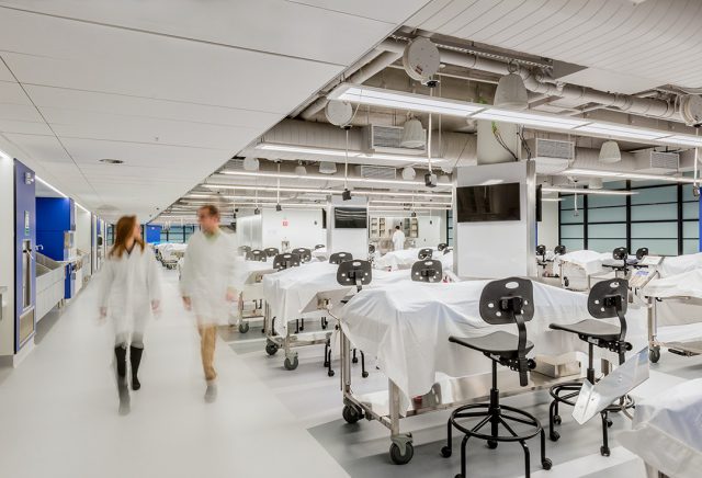 An Introduction to Tufts’ Gross Anatomy Laboratory - Payette