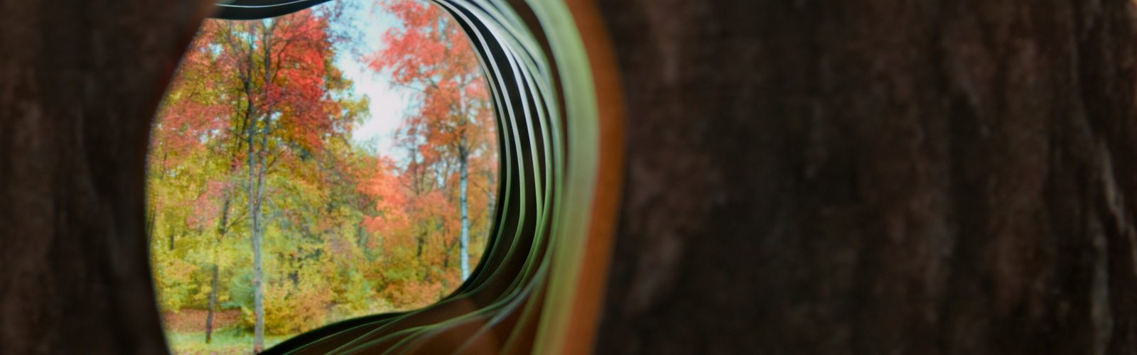 Placeholders in Architectural Design - Payette