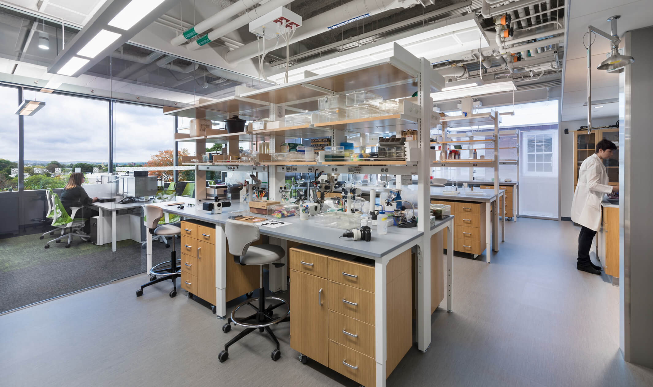 High-Low Energy Flexible Lab Suite - Payette