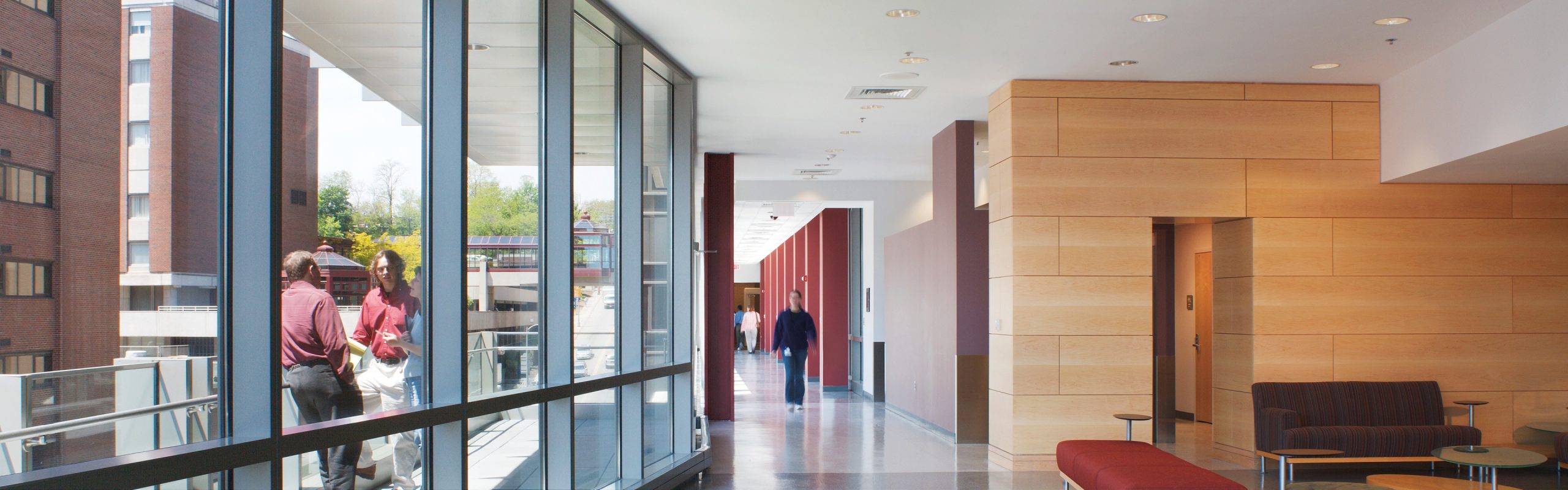 Color Strategy in Biomedical Science Tower III - Payette