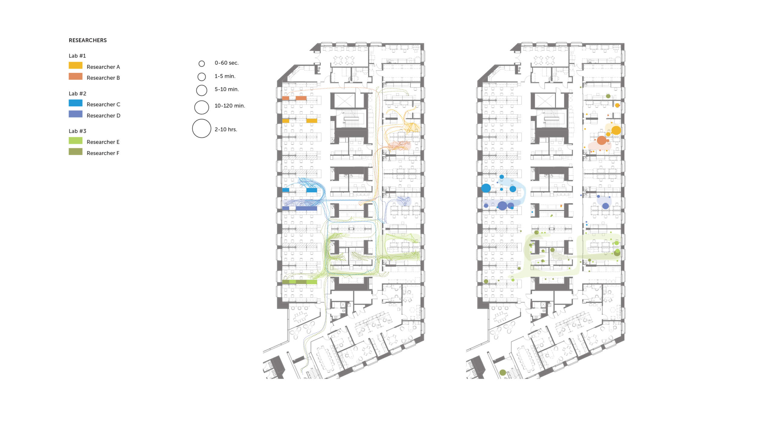 Shadow Studies - Payette