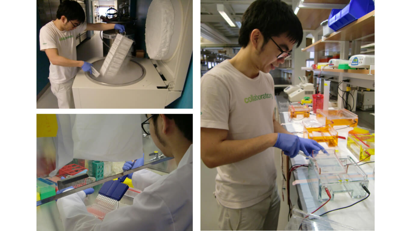 Shadow Studies - Payette