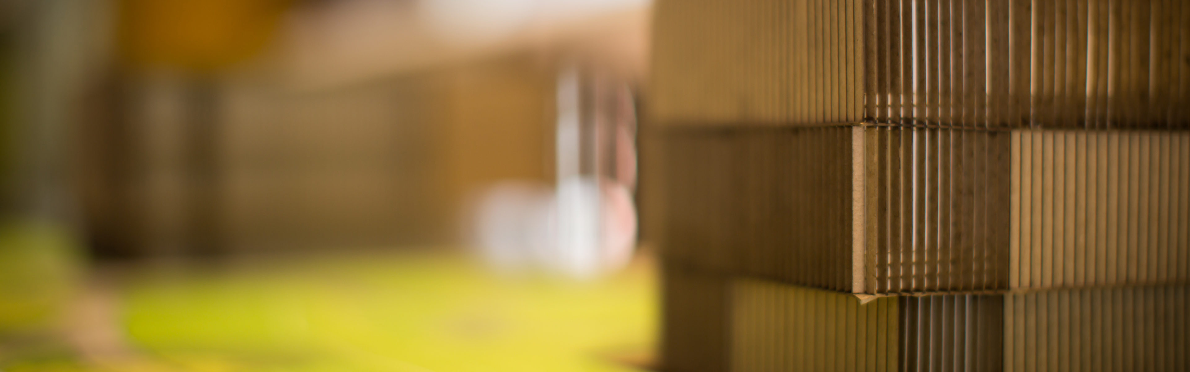 Thomas Simister - Payette