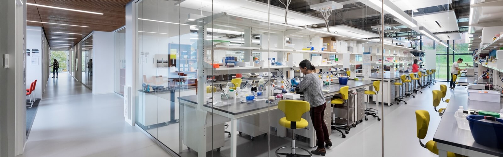 New Photography from 2018: Laboratories - Payette