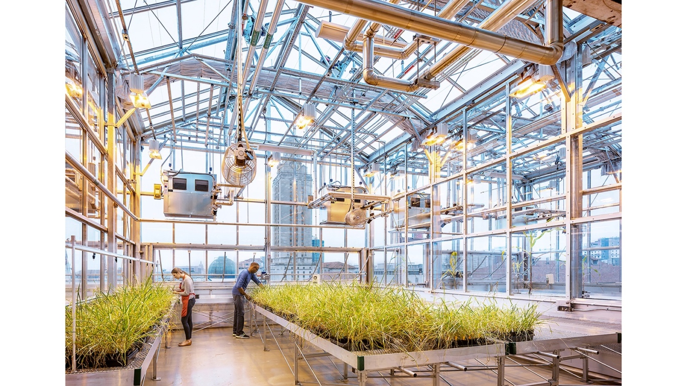 Norman Hackerman Building Greenhouse Addition - Payette