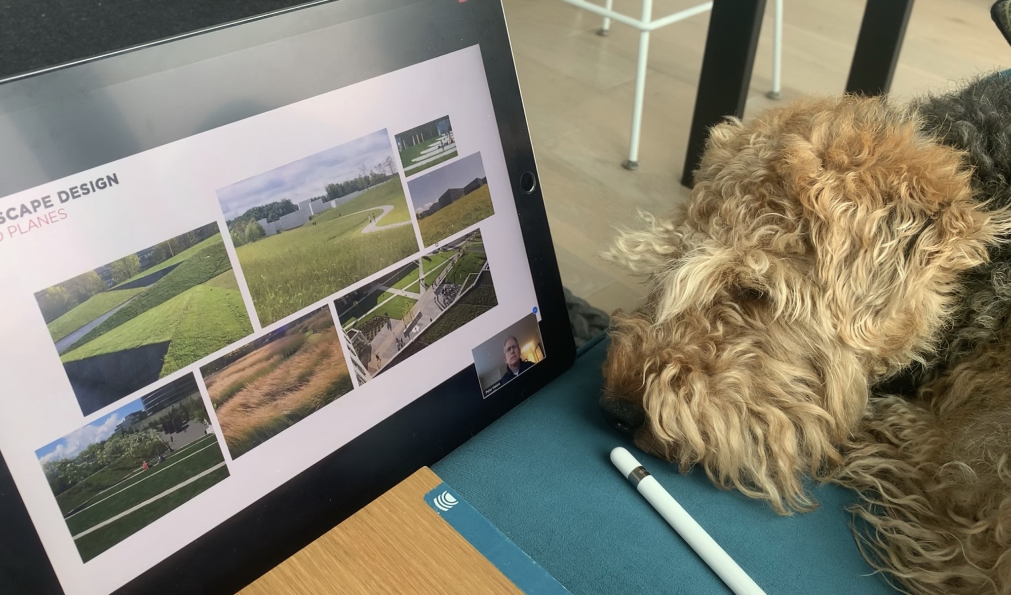 Virtual Collaboration: Inspiring Kids and Pets Too - Payette