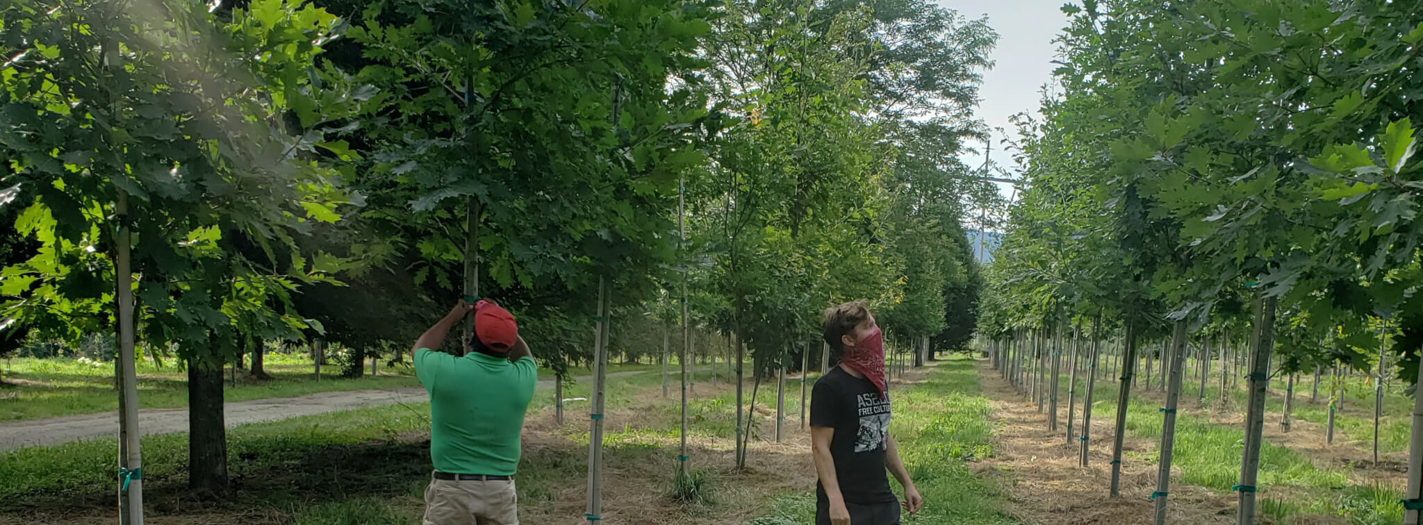 Field Trip: Tree Tagging - Payette