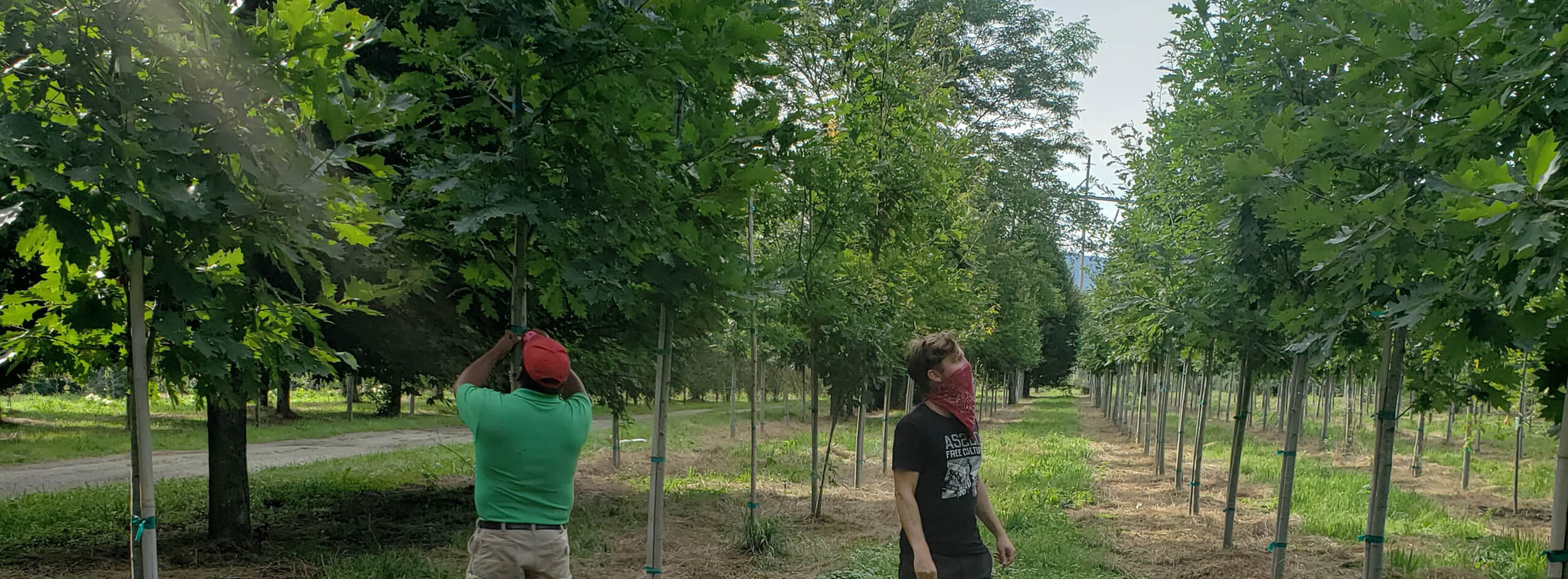 Field Trip: Tree Tagging - Payette
