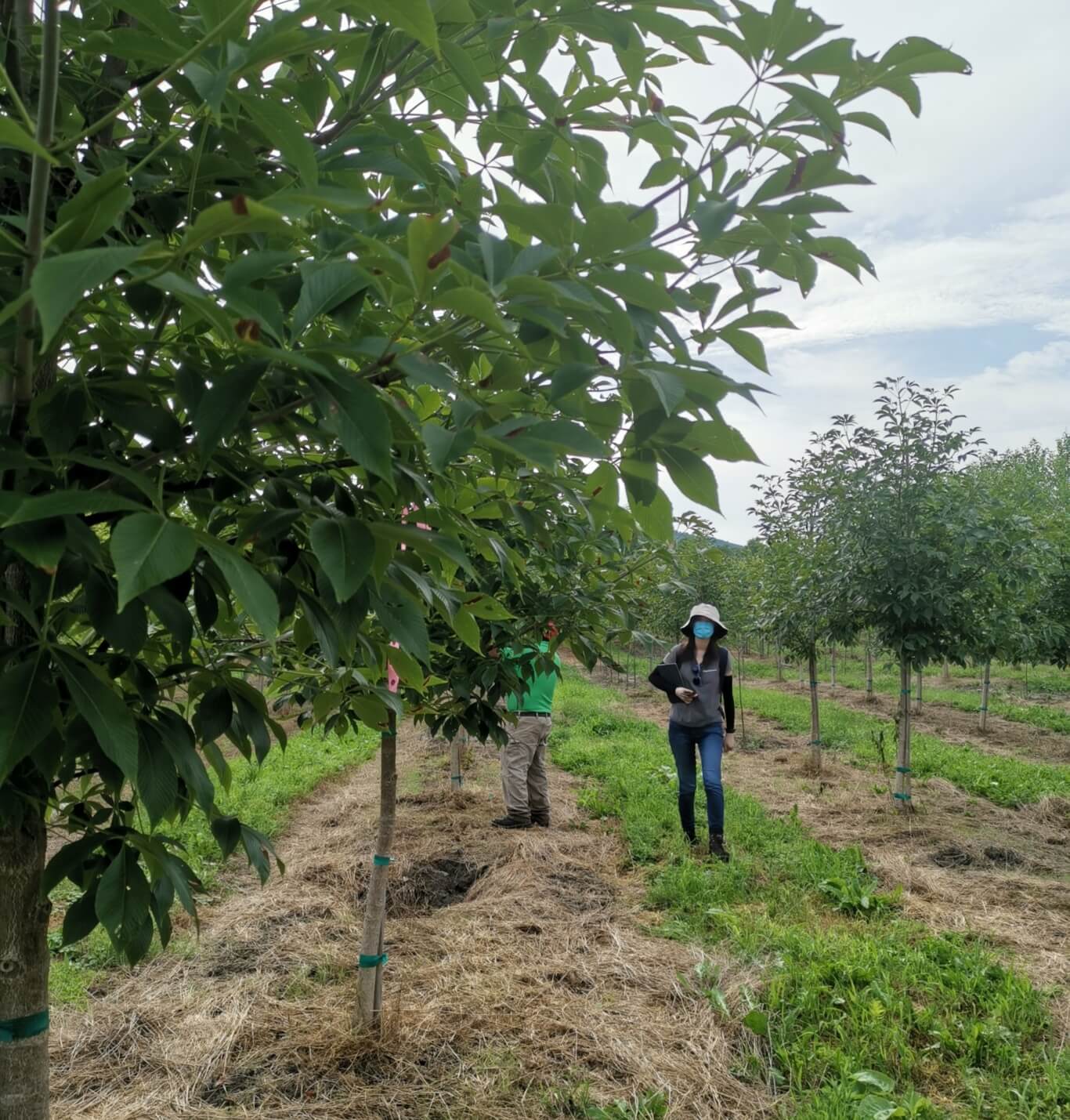 Field Trip: Tree Tagging - Payette