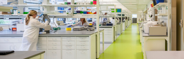 My First Lab - Payette