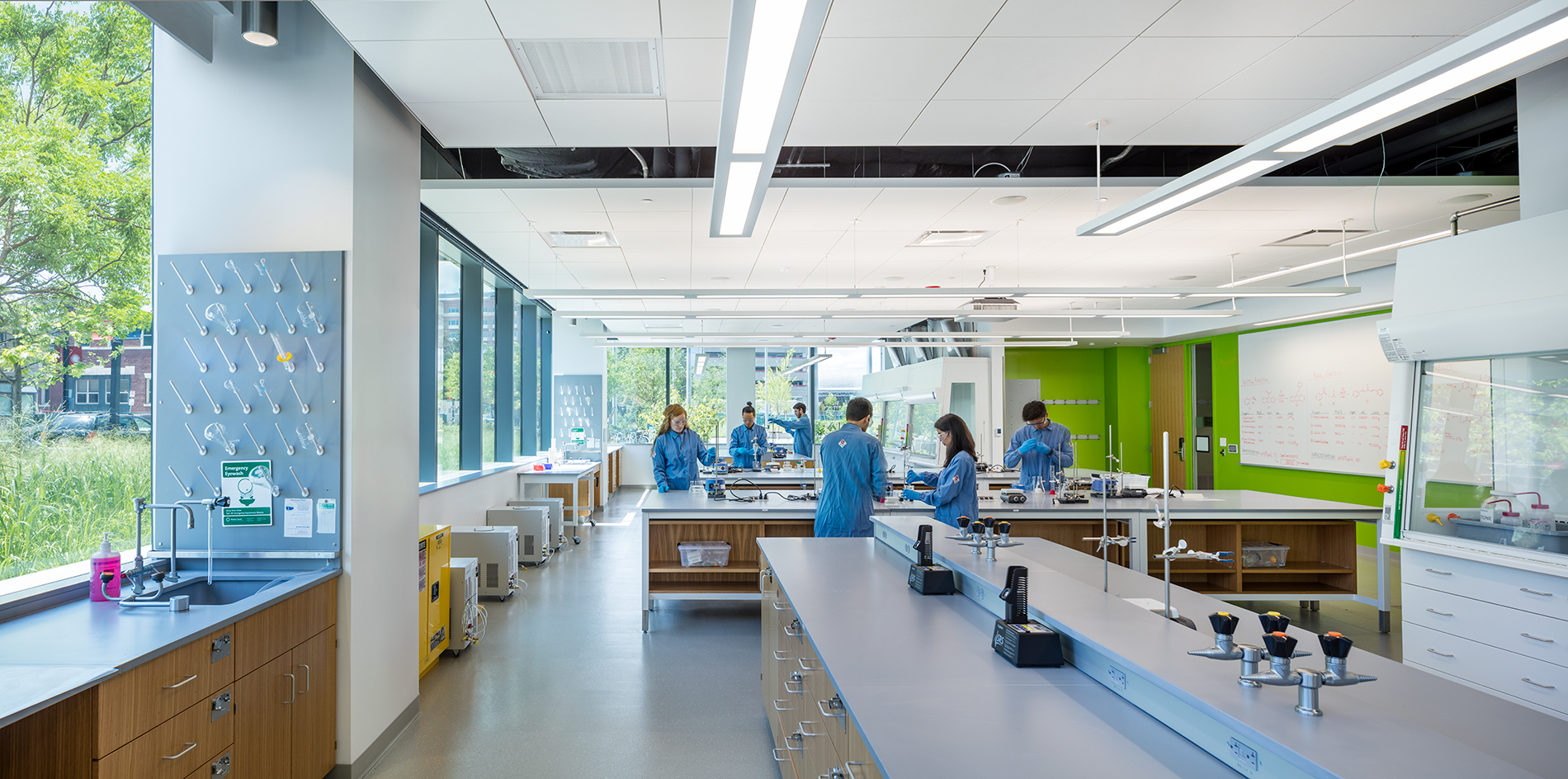 My First Lab - Payette