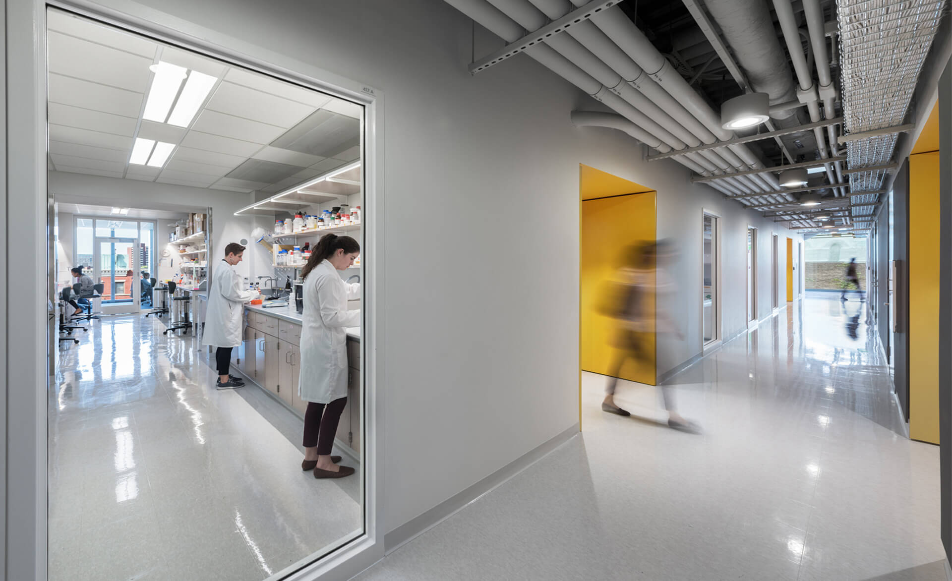 Life Science Research - Payette