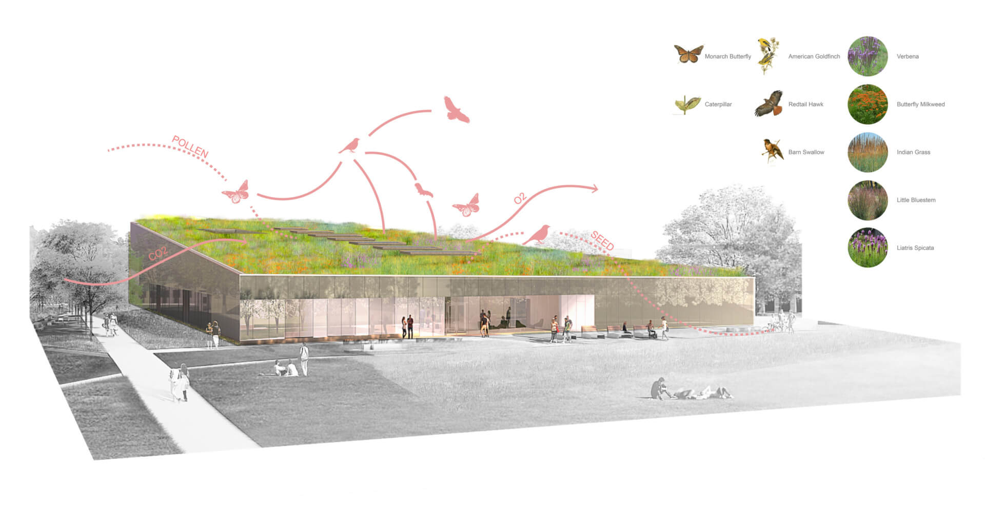 Celebrating New Landscape Architects: Yu Pei - Payette