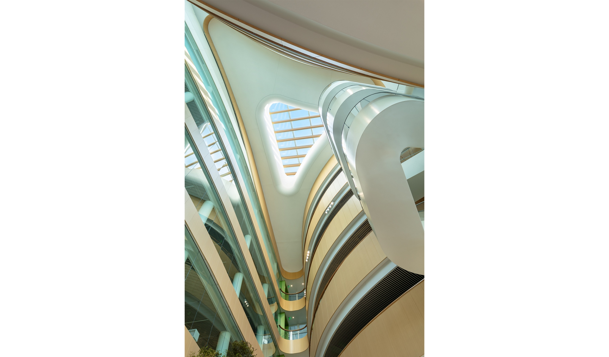 The Ragon Institute of Mass General, MIT and Harvard - Payette