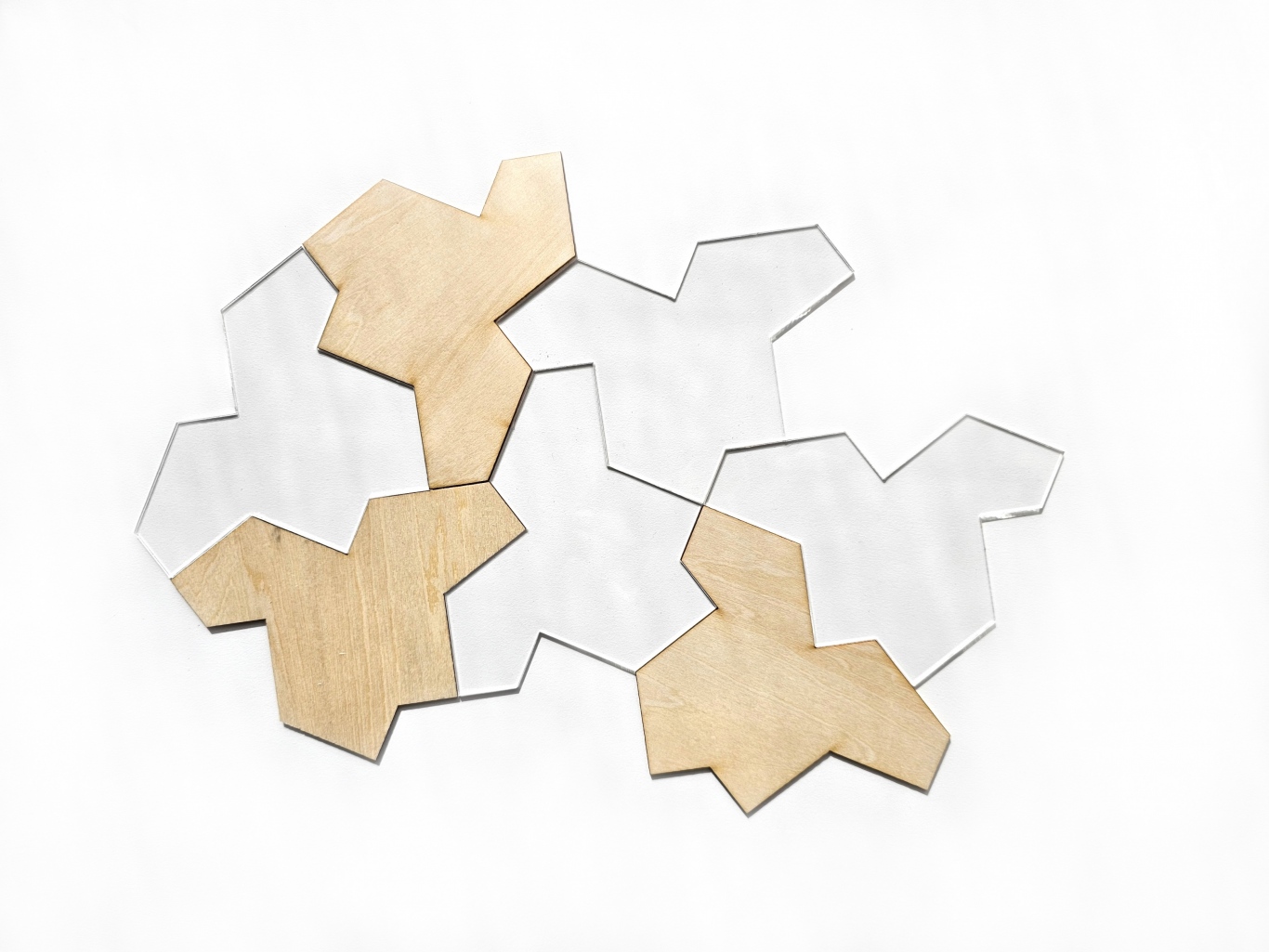 A Newly Discovered 'Einstein' Shape - Payette