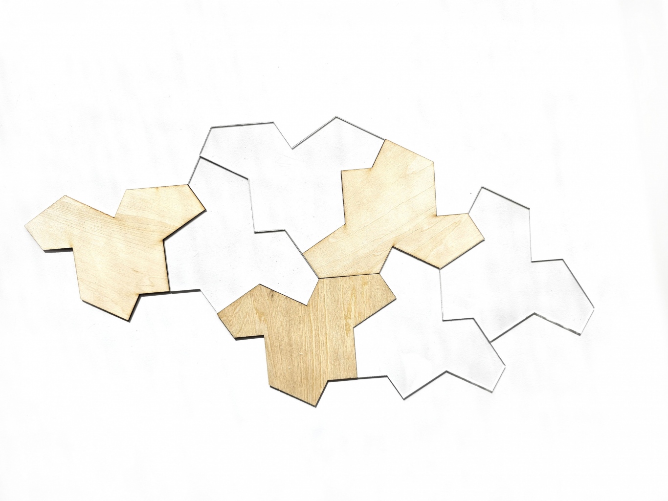 A Newly Discovered 'Einstein' Shape - Payette