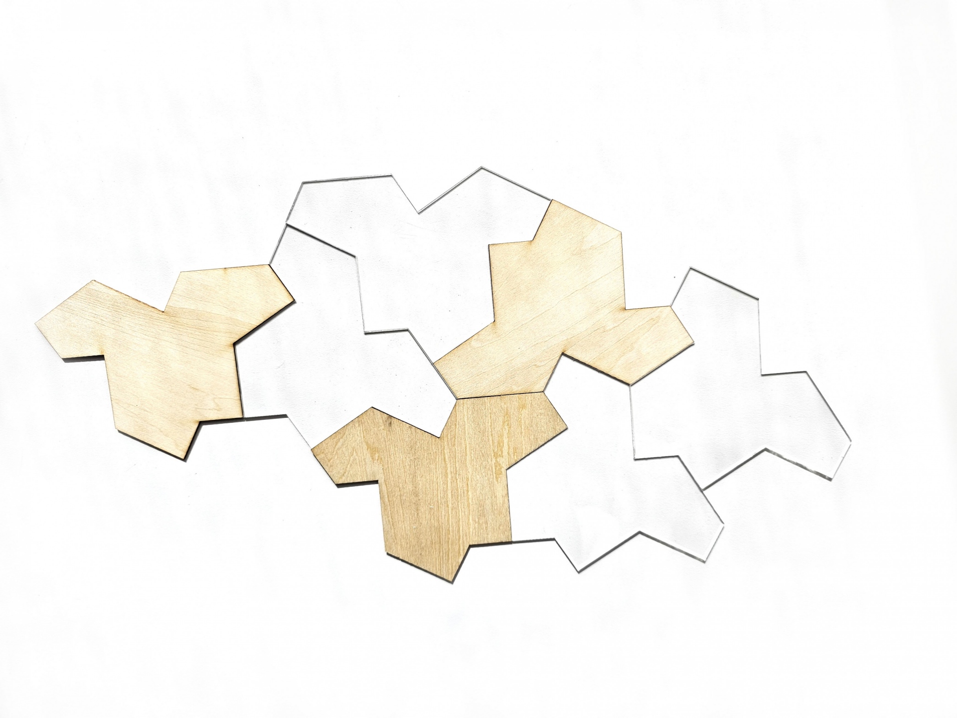 A Newly Discovered 'Einstein' Shape - Payette