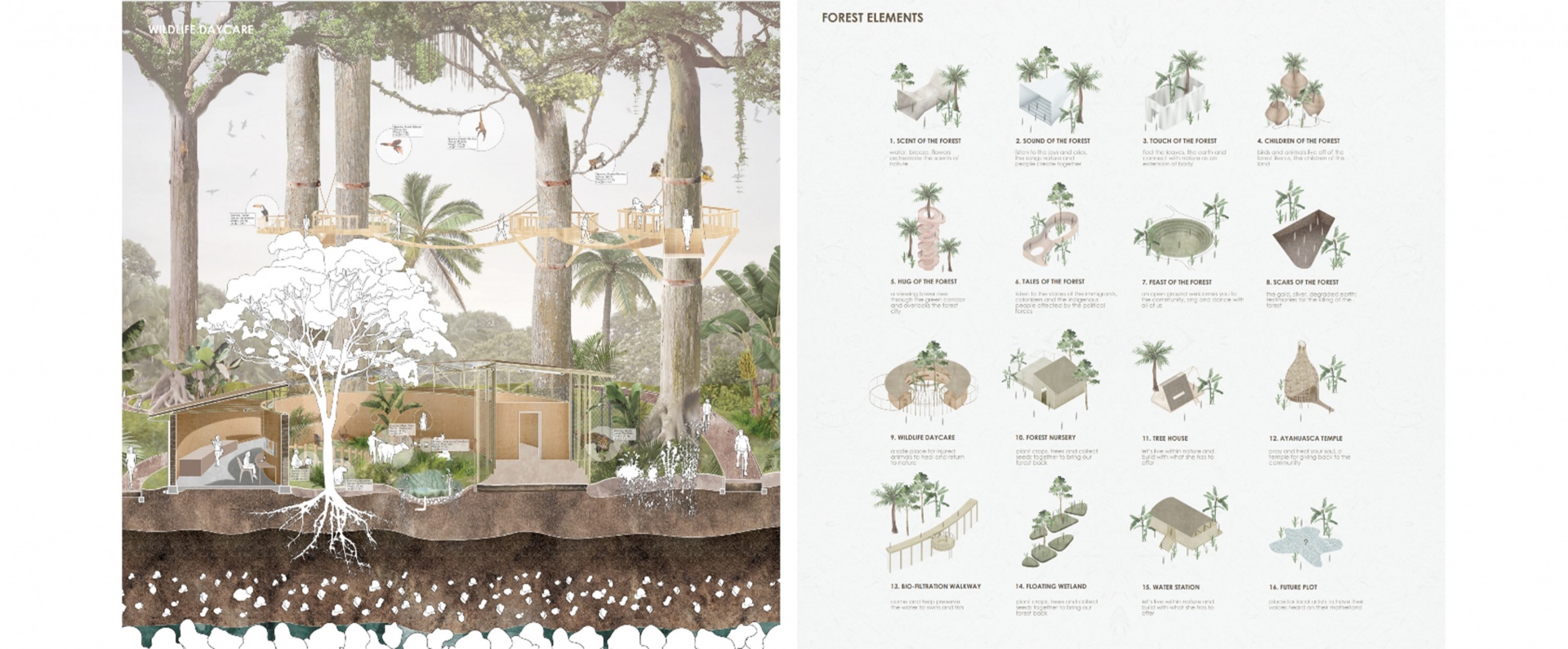 Unraveling Boundless Horizons: My Journey at the AIAS Grassroots ...