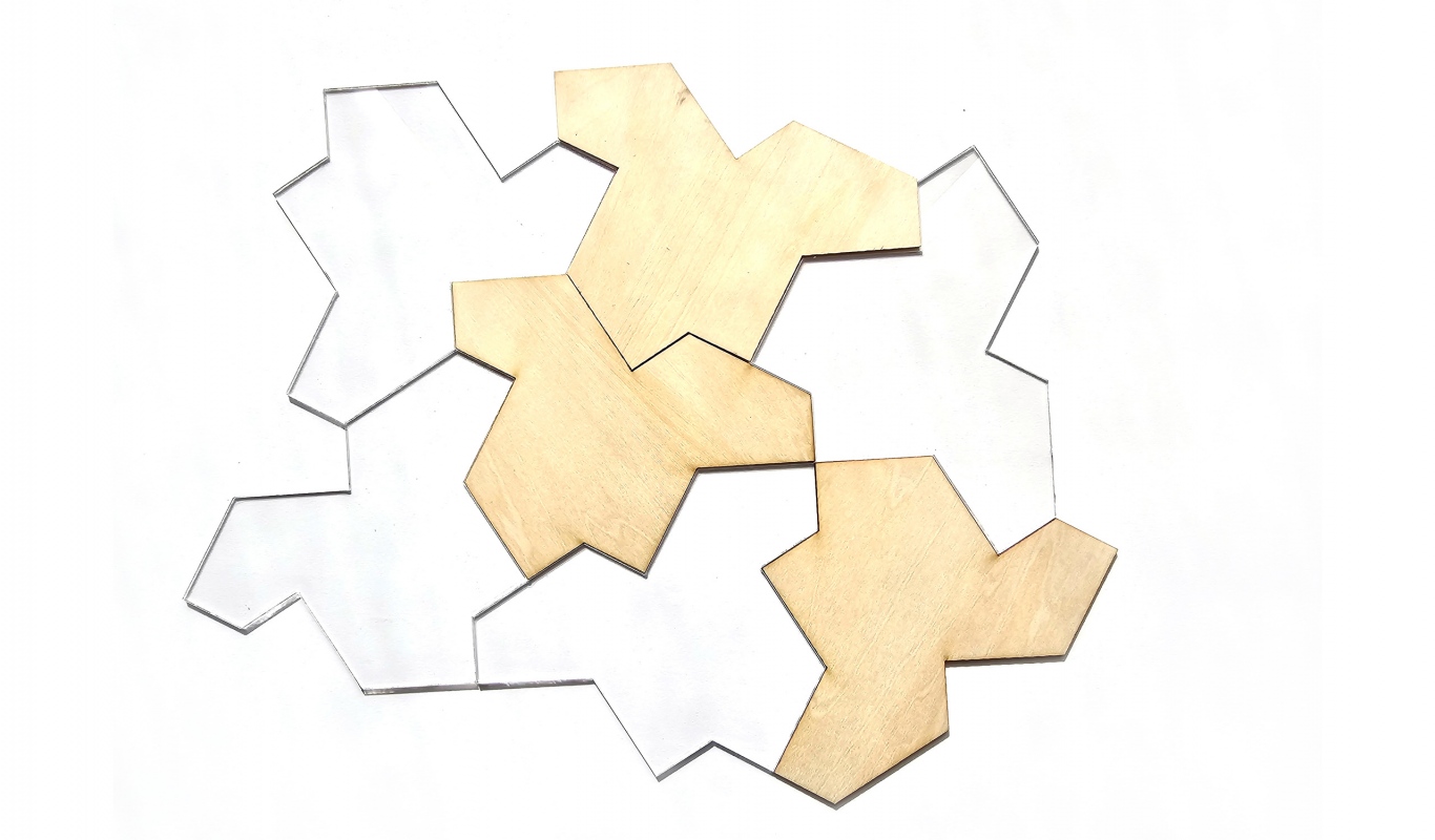 A Newly Discovered 'Einstein' Shape - Payette