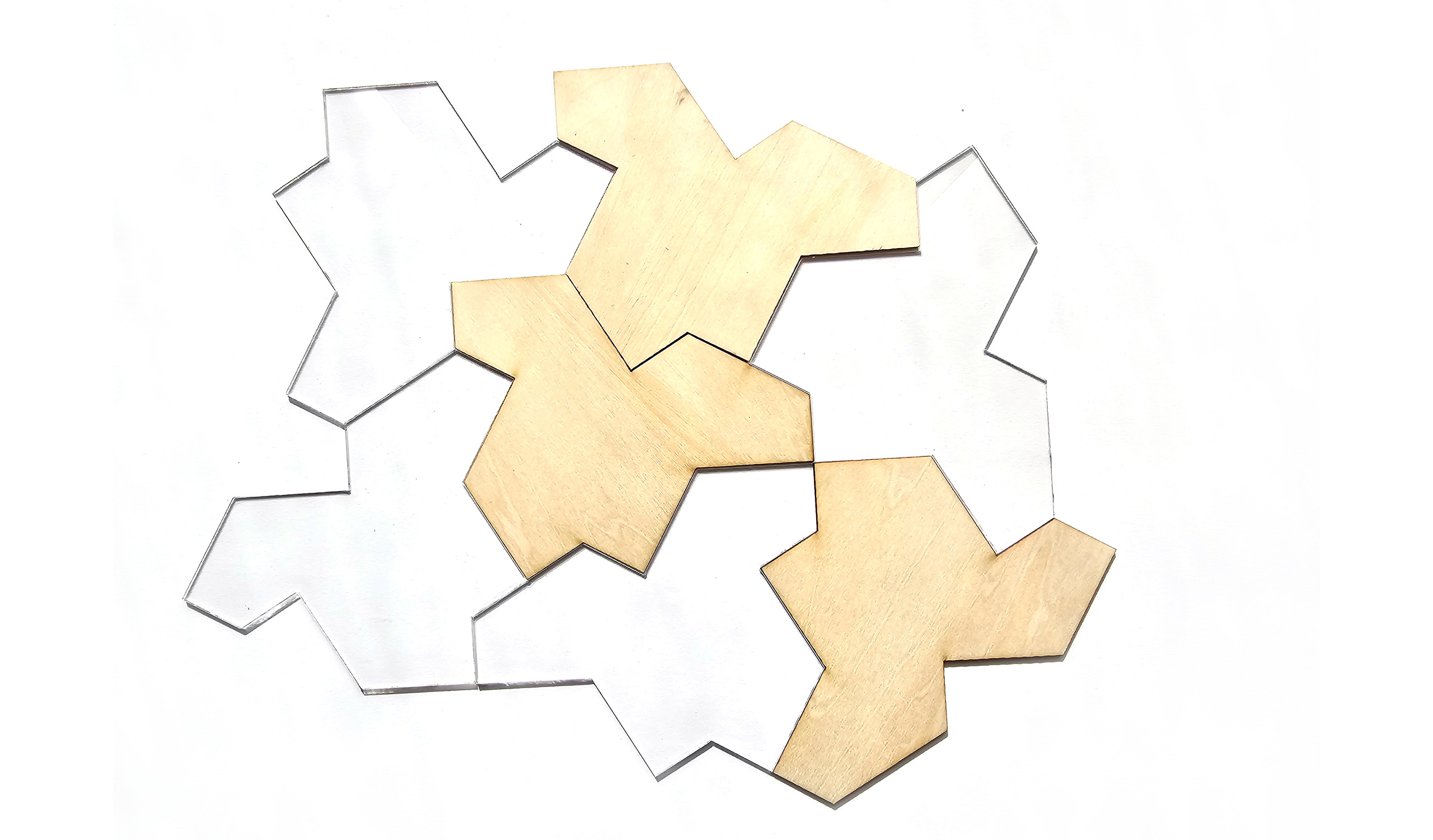 A Newly Discovered 'Einstein' Shape - Payette