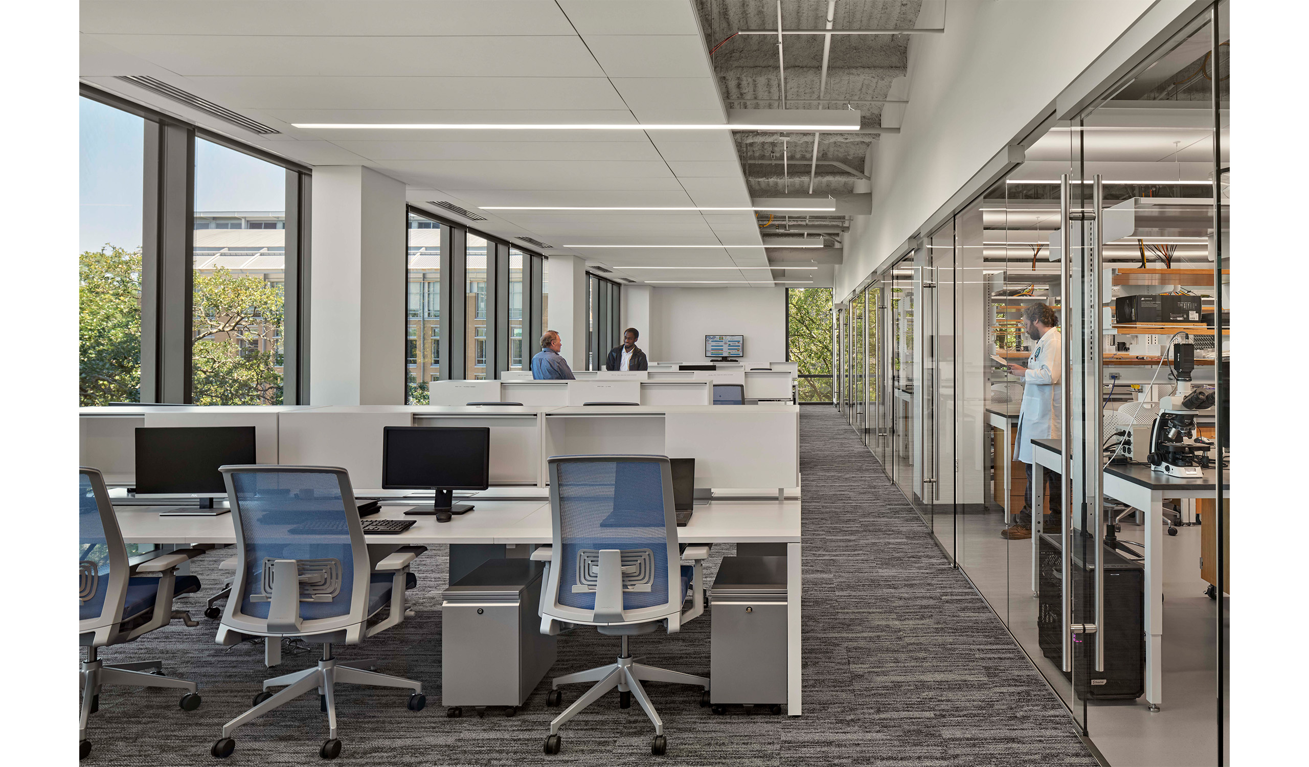 A Research Lab in the Trees: The Nature of Tulane’s Deeply Sited ...