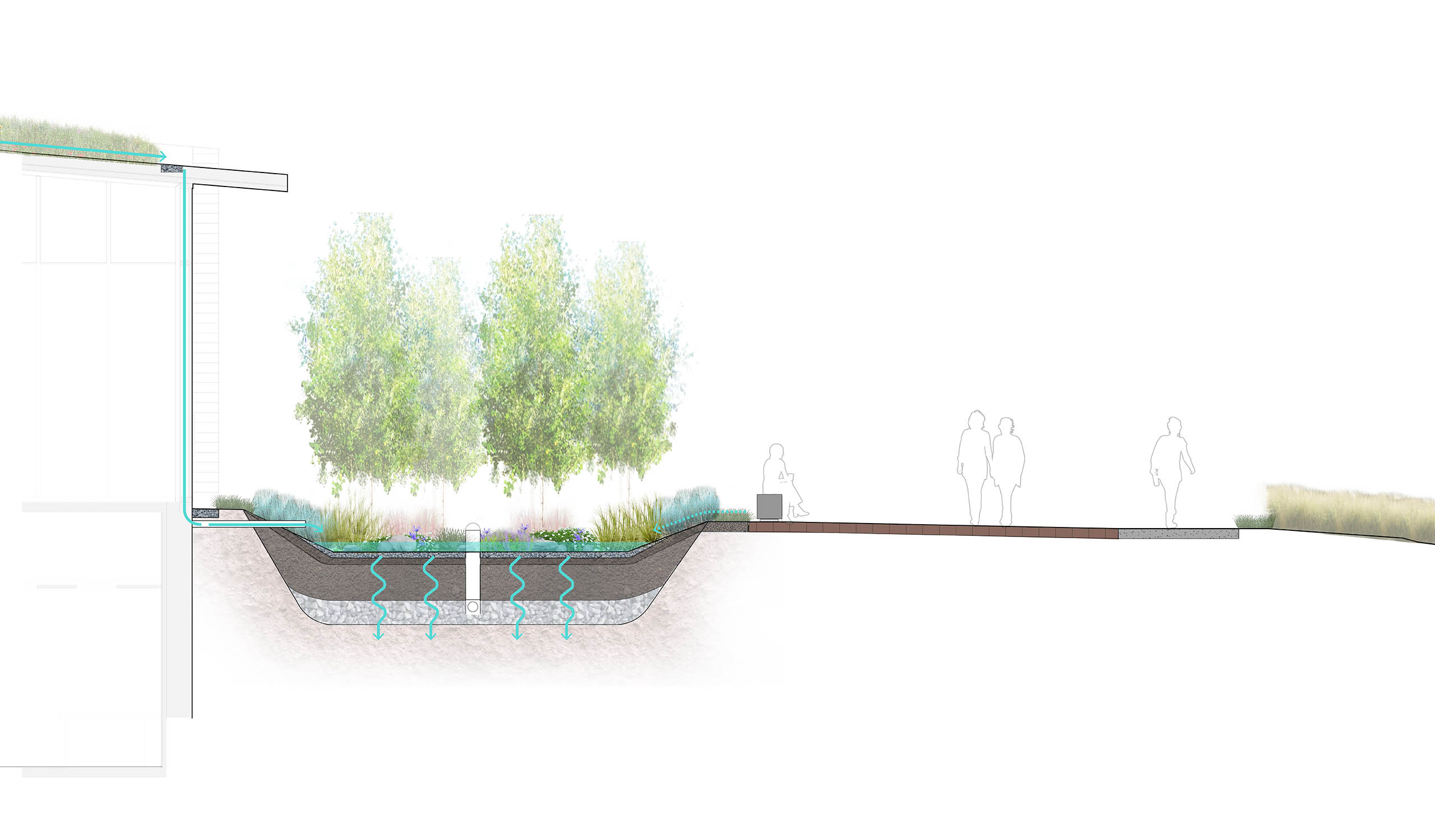 Sustainable Campus Landscape - Payette