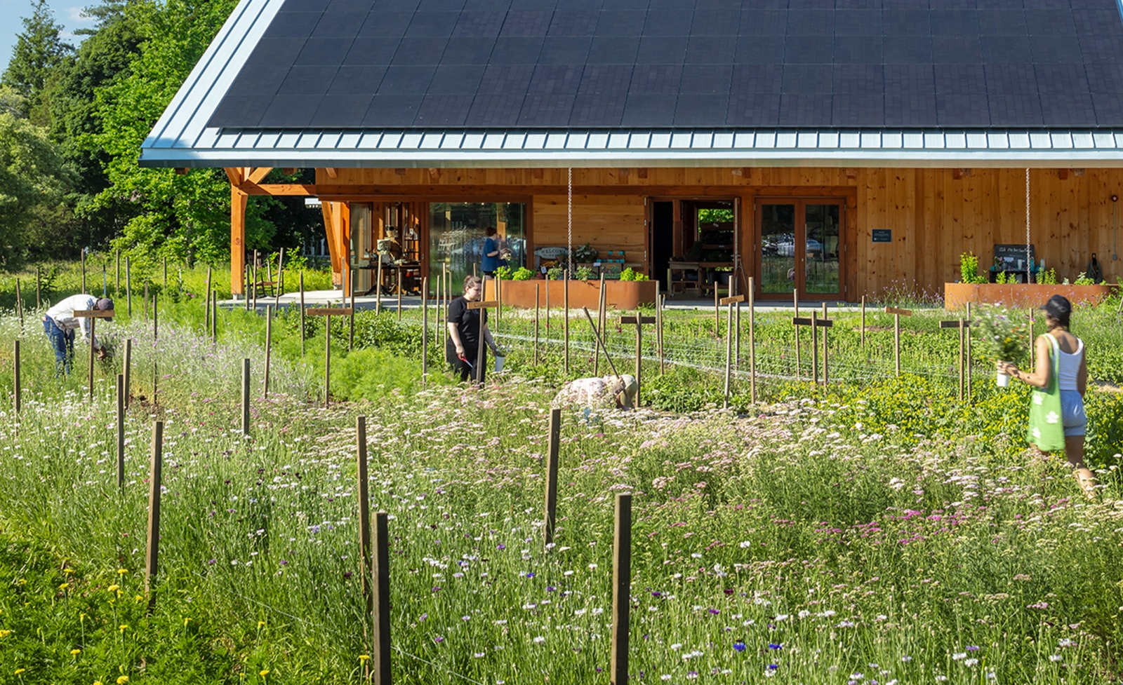 Land's Sake: A Net-Zero Farm - Payette