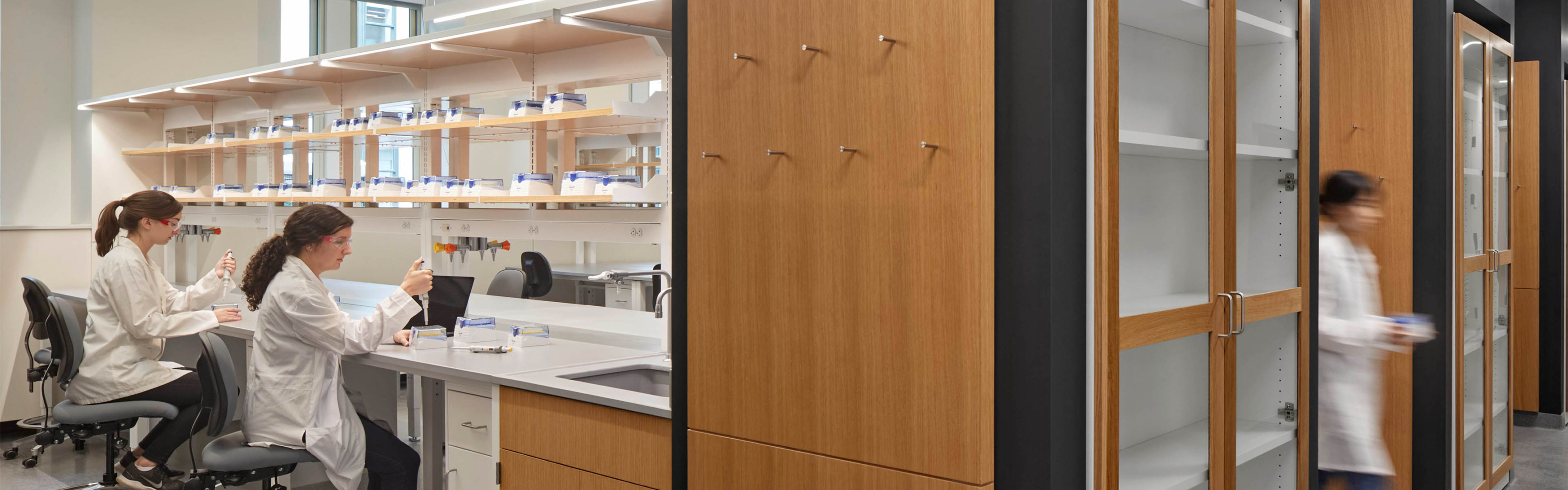 Blavatnik Harvard Life Lab - Payette