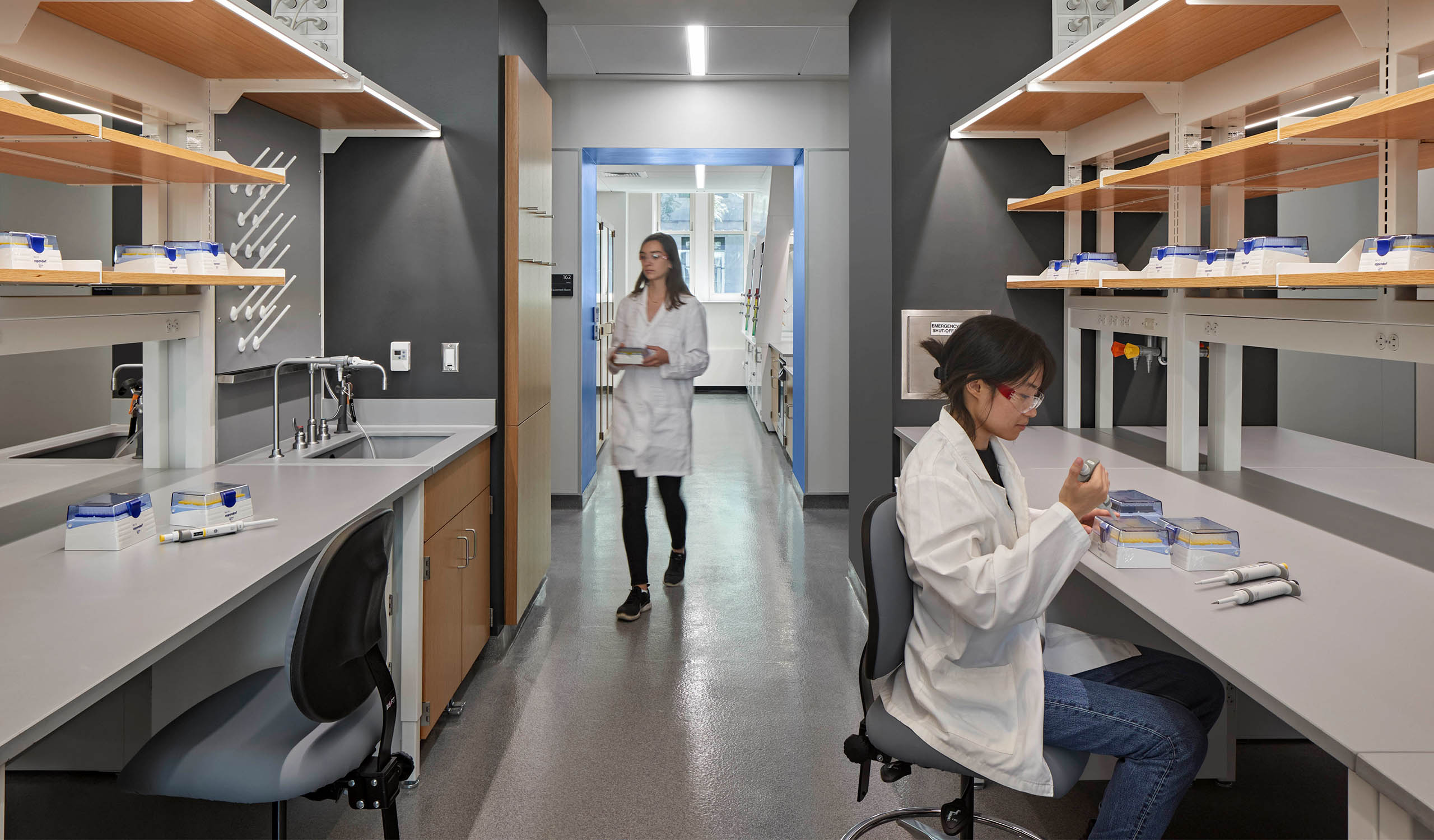 Blavatnik Harvard Life Lab - Payette