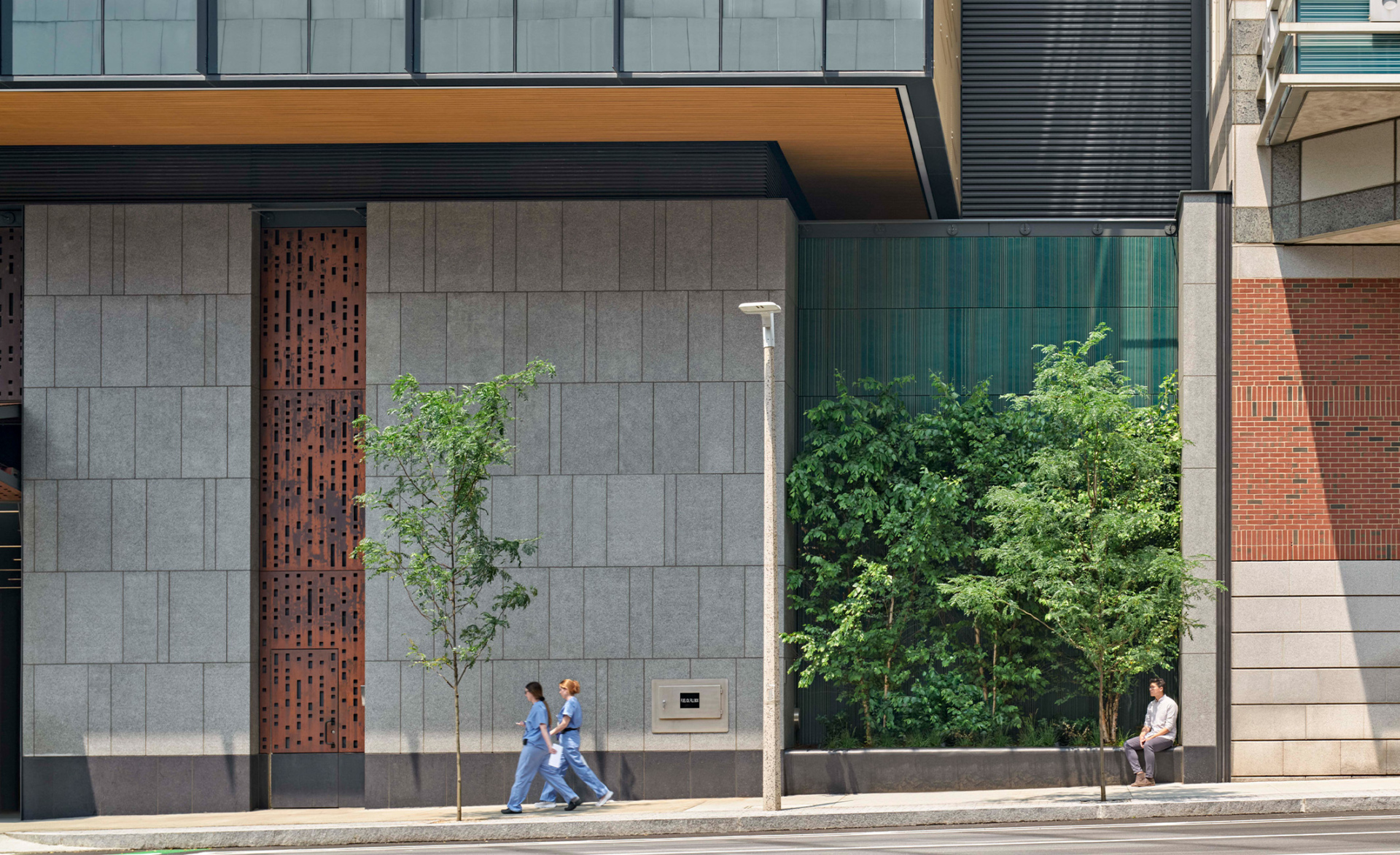 Embedded Nature: Designing for Wellness in Healthcare Architecture ...
