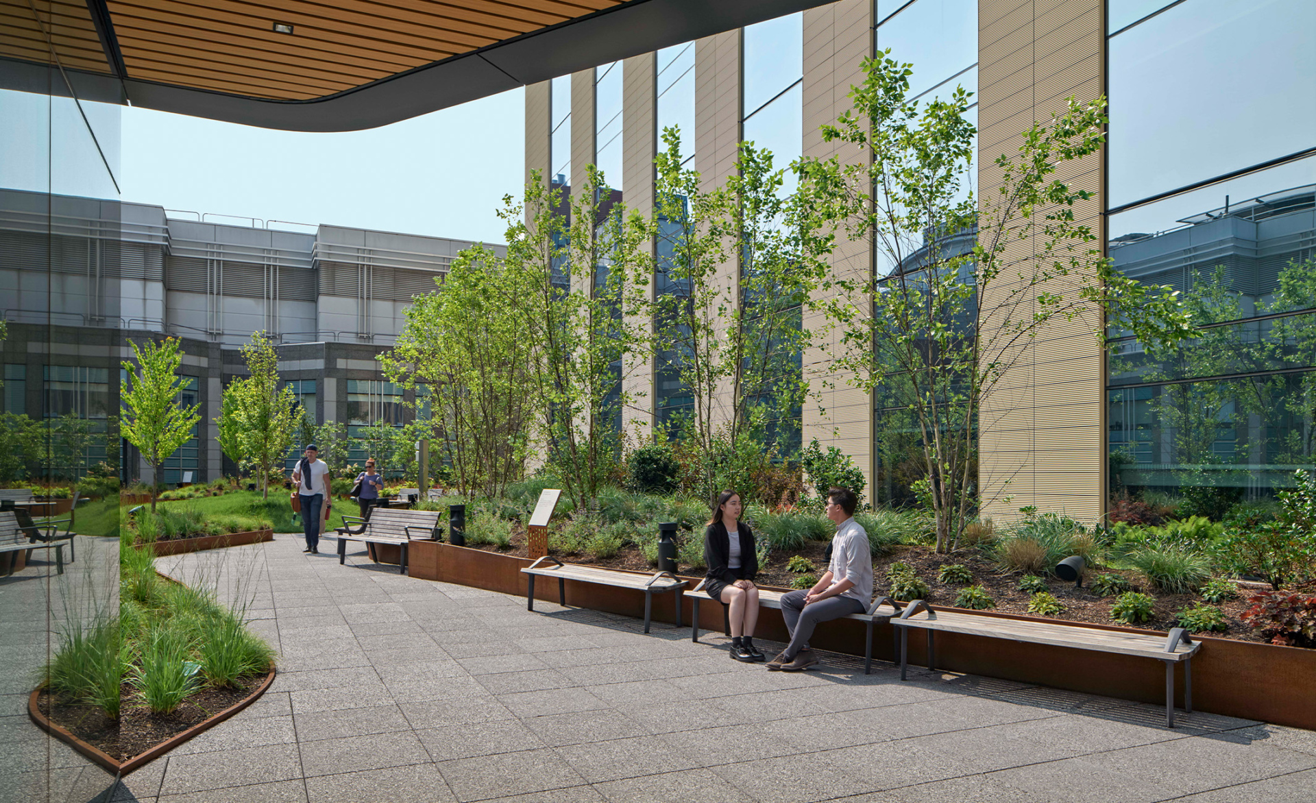 Embedded Nature: Designing for Wellness in Healthcare Architecture ...
