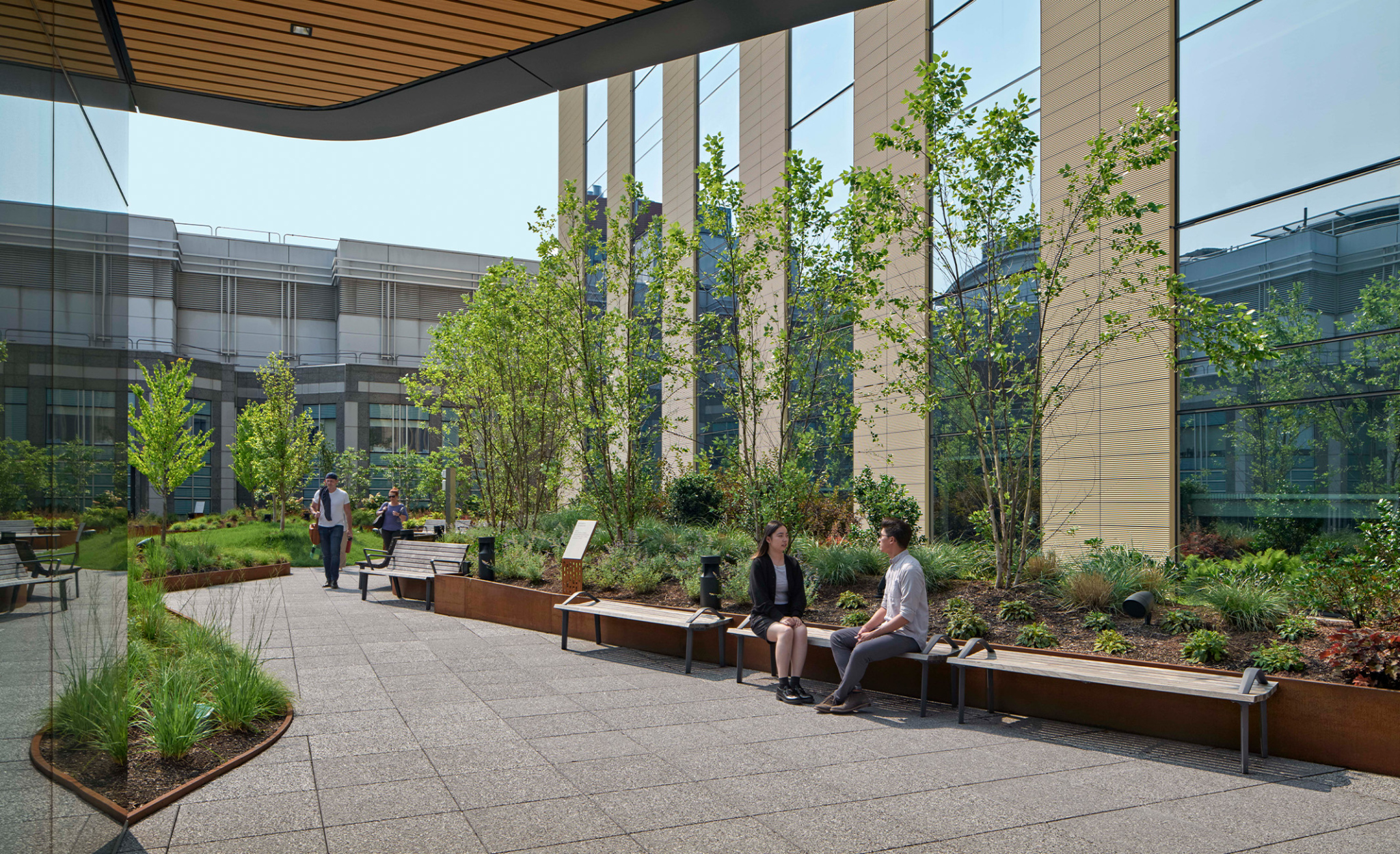 Embedded Nature: Designing for Wellness in Healthcare Architecture ...