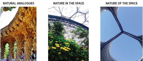 Biophilic Building Design - Payette