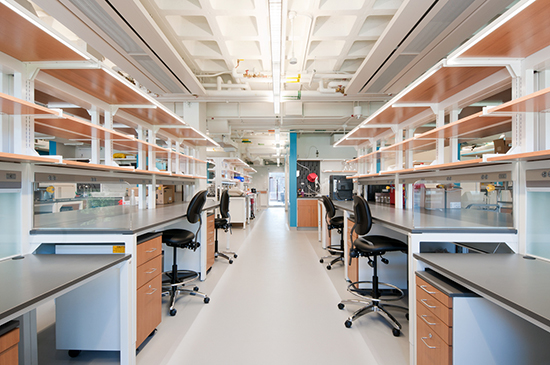 Sherman Fairchild Renovation Earns I2SL Award - Payette